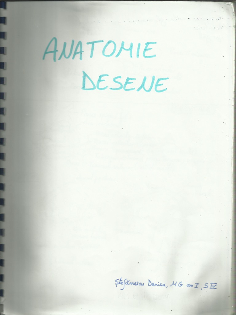 Desene Anatomie - Oase, Membru Superior, Inferior | PDF