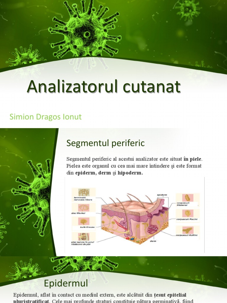Analizatorul Cutanat Prezentare | PDF