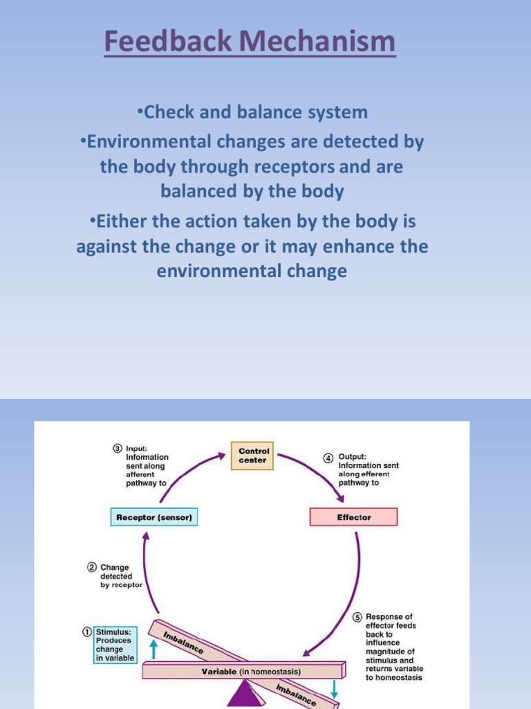 Feedback Mechanism | PDF