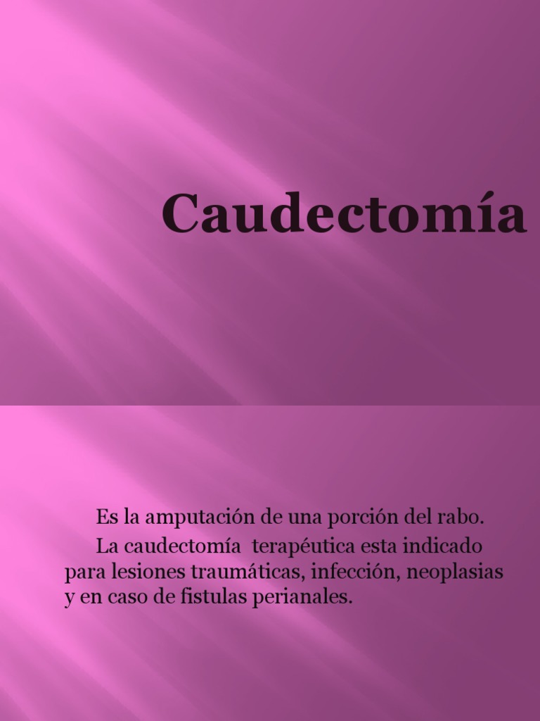 Caudectomia | PDF