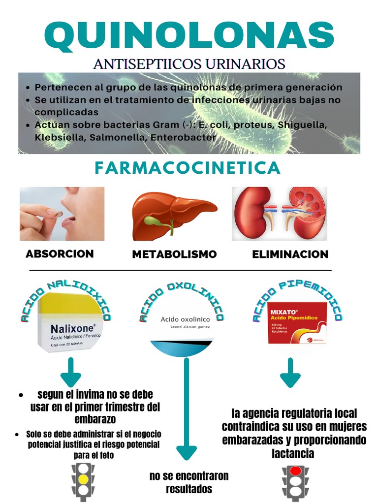 Infografia Quinolonas | PDF