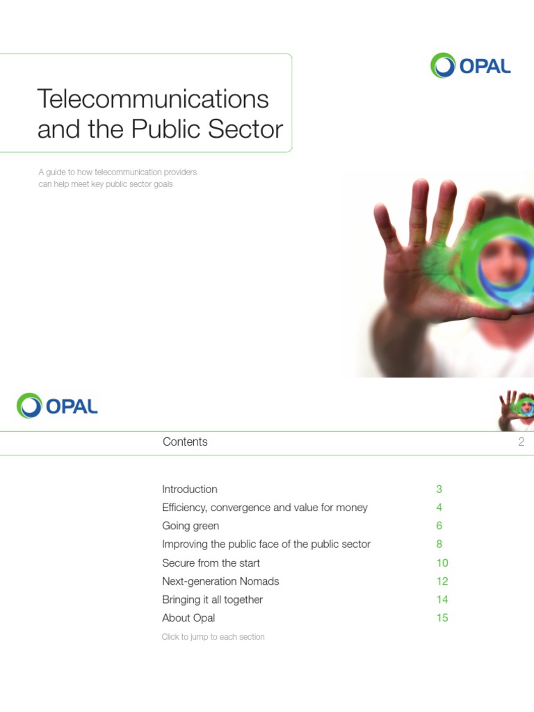 Telecommunications and The Public Sector | PDF | Voice Over Ip ...