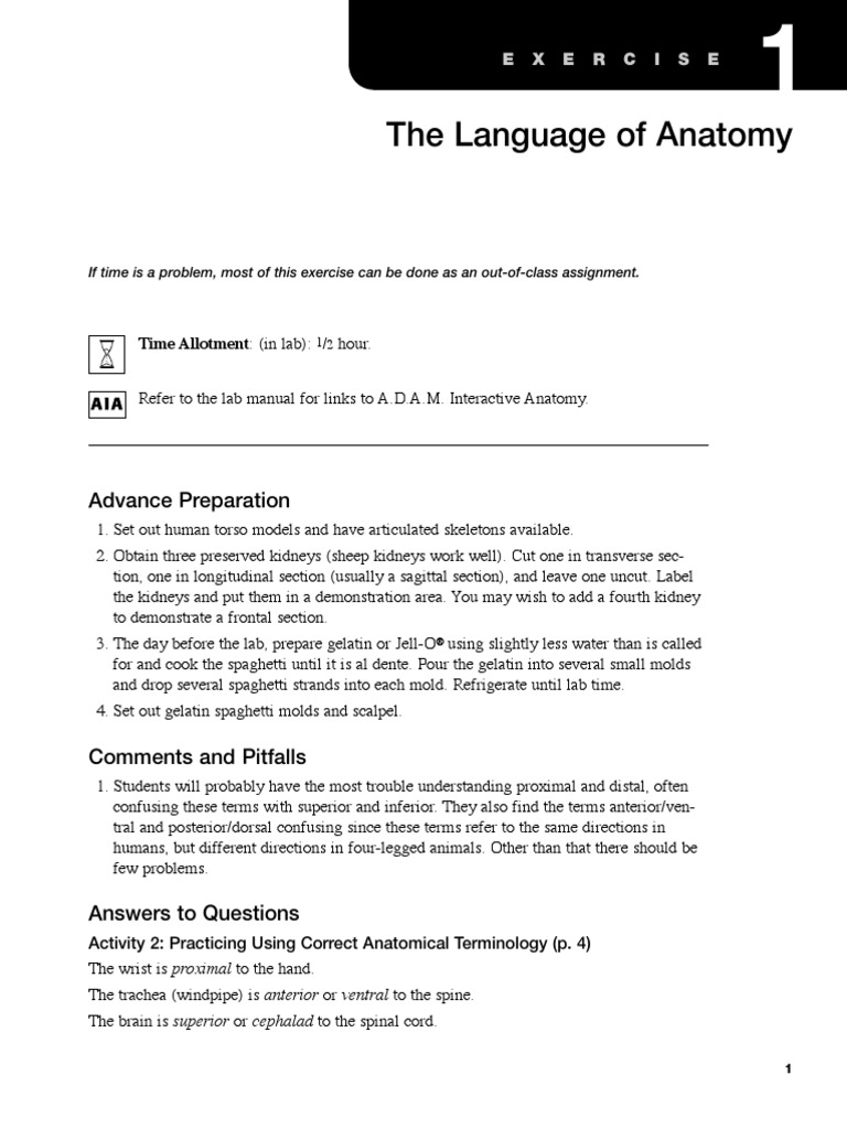 Cheat Sheet | PDF | Anatomical Terms Of Location | Human Body
