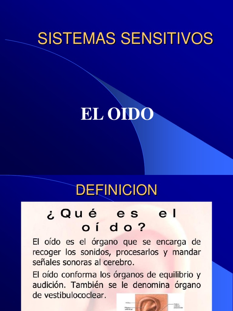Anatomía Del Sentido de La Audición | PDF