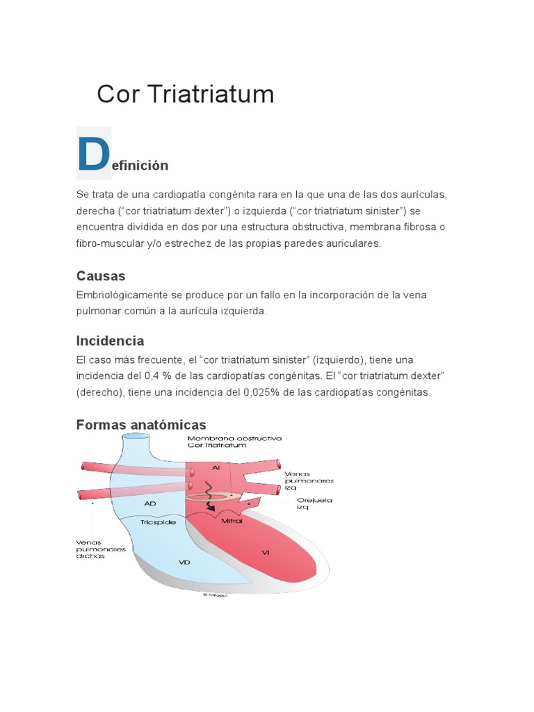 Cor Triatriatum: Definición y Tratamiento | PDF | Defecto cardiaco ...