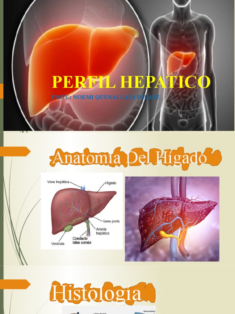 Perfil Hepatico | PDF | Transaminasa | Bilis