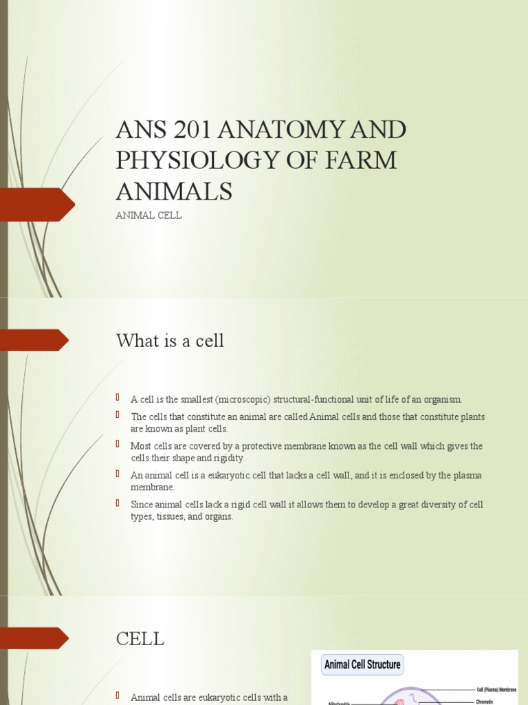 ans-201-anatomy-and-physiology-of-farm-animals-pdf-endoplasmic