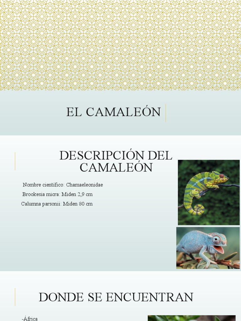 El Camaleon | PDF