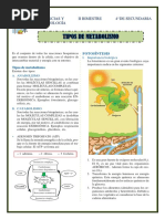 Infografía Cromoforo y Auxocromo | PDF