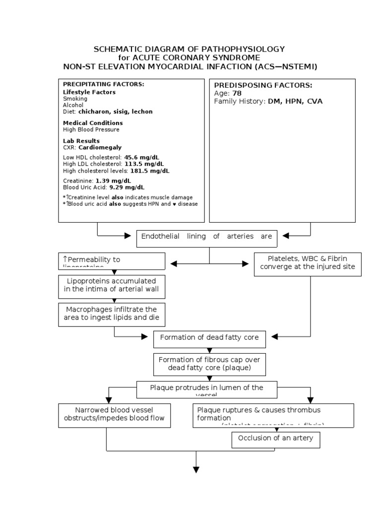 Pathophysiology of NSTEMI Explained | PDF