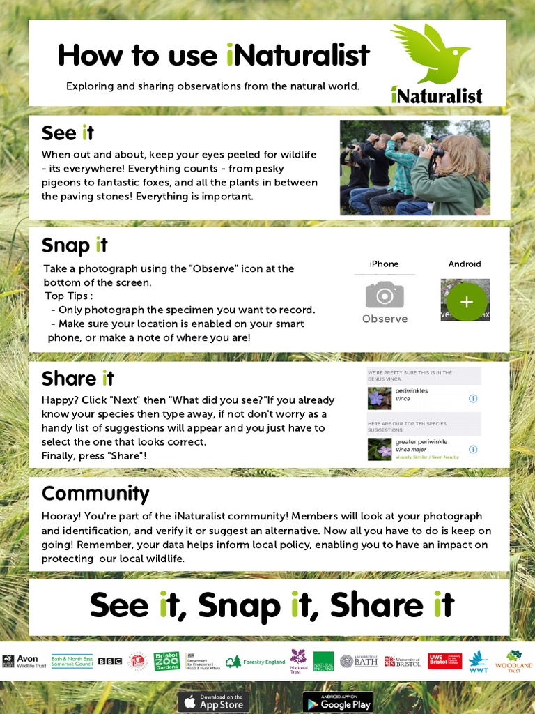 How To Use Inaturalist - Flyer | PDF