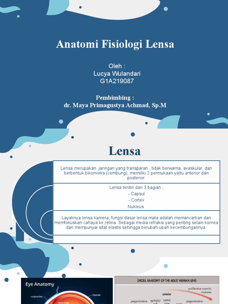 Anatomi Fisiologi Lensa | PDF