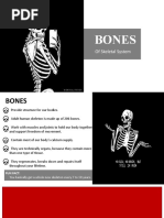 List of 206 Bones and Their Location | PDF | Skeleton | Knee