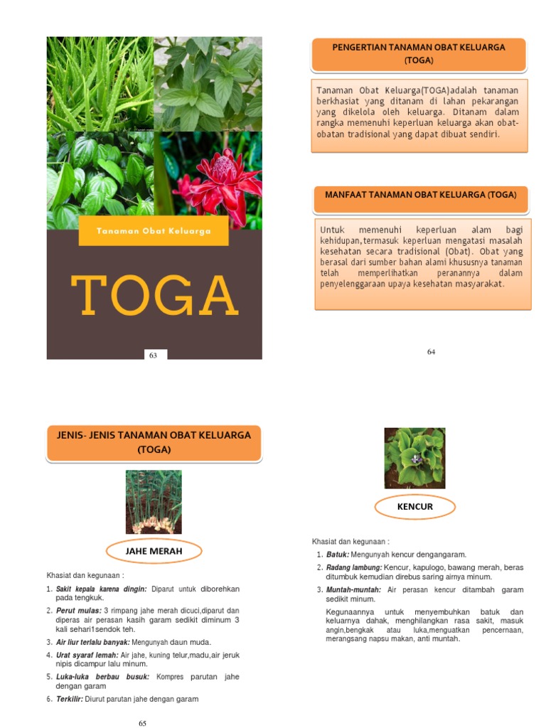 5.booklet Tanaman Obat Keluarga (Toga) | PDF