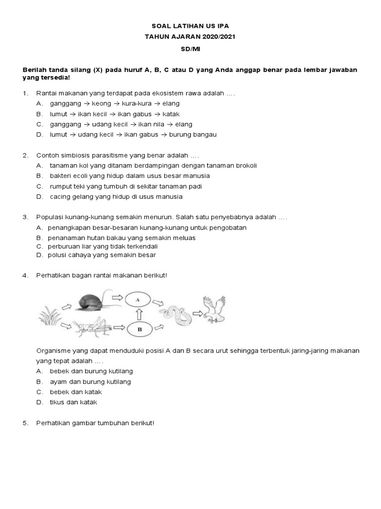 Soal Latihan Us Ipa SD 2021 | PDF