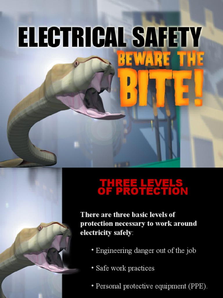 Electrical Safety - Beware The Bites | PDF | Insulator (Electricity ...
