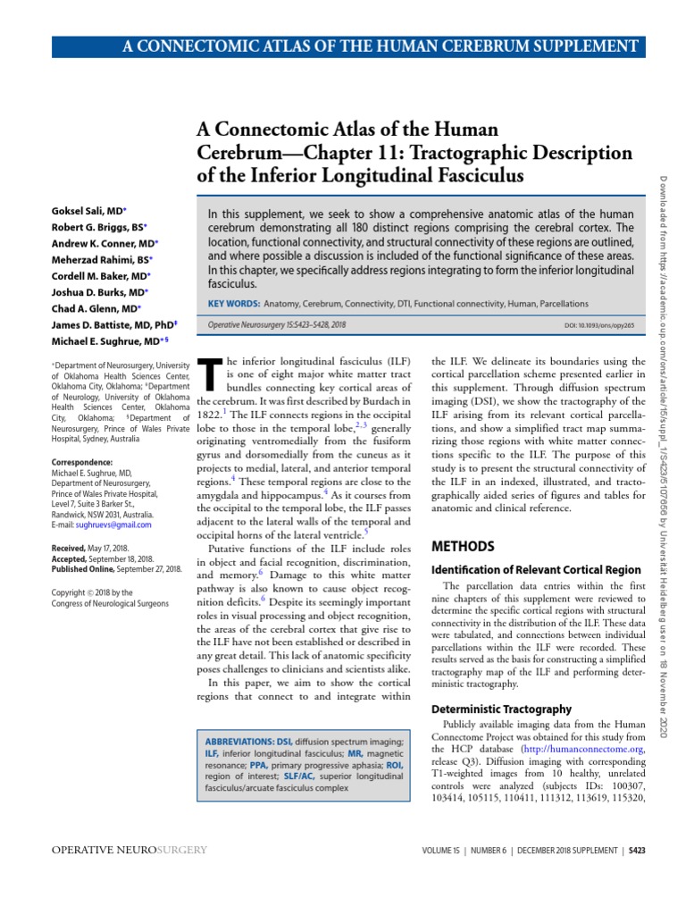 Chapter 11 - Tractographic Description of The Inferior Longitudinal ...