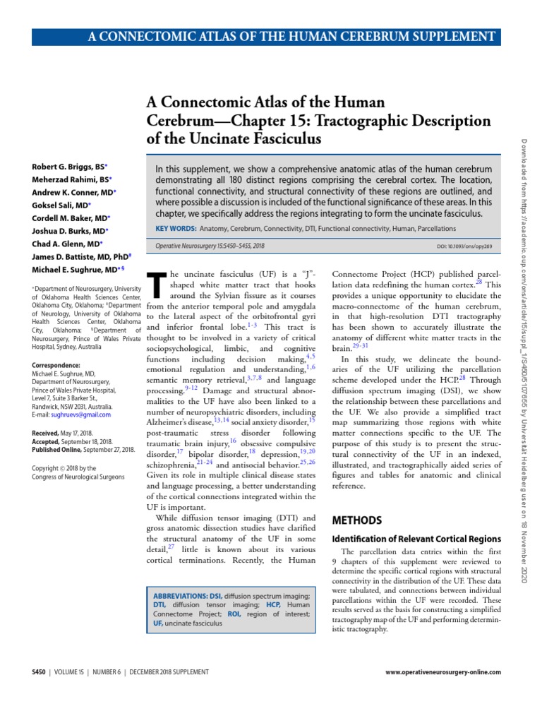 Chapter 15 - Tractographic Description of The Uncinate Fasciculus | PDF ...