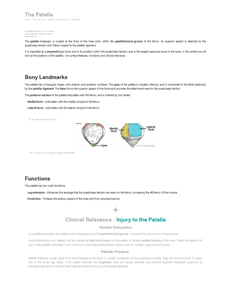 The Patella - Surface Anatomy - Functions - Dislocation ...