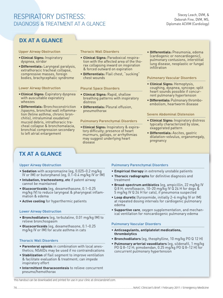 Respiratory Distress Handout | PDF | Respiratory Diseases | Lung