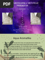 Sirupus Simplex | PDF