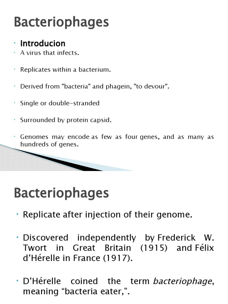 Bacteriophages | PDF | Bacteriophage | Virus