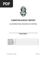 Enhanced Survey Programme in Detail | PDF | Ships | Surveying