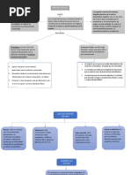 Sigmoidectomia Laparoscopica | PDF | Intestino grueso | Cirugía