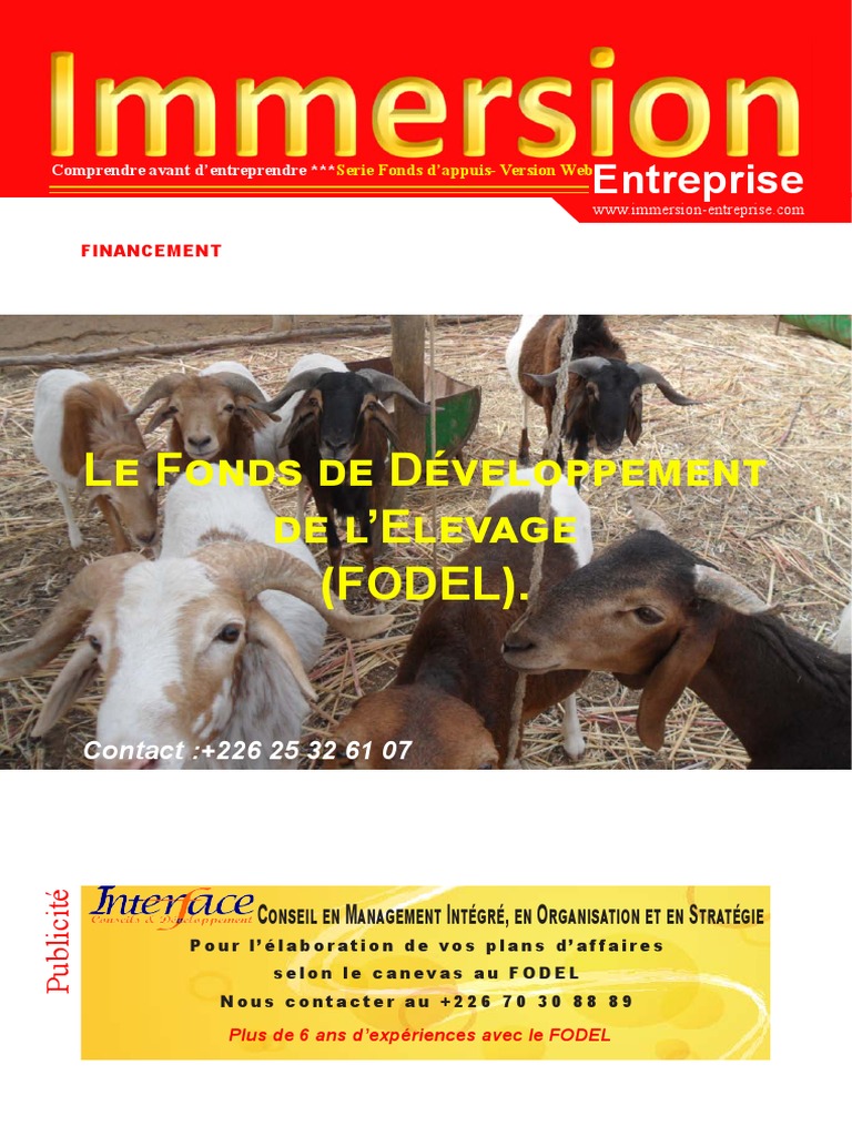 FODEL : Financement de l'élevage au Burkina | PDF | Crédit | Finance et ...