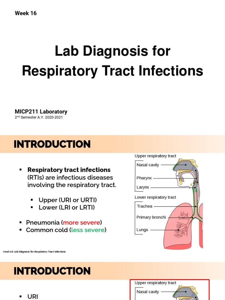 Lab Diagnosis Respiratory Tract Infection-Slides | PDF | Pulmonology ...