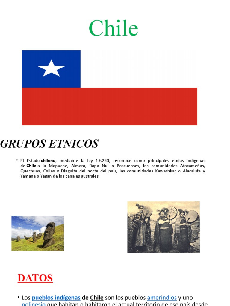 Etnias indígenas de Chile: un legado vivo | PDF | Pueblos Indígenas de ...