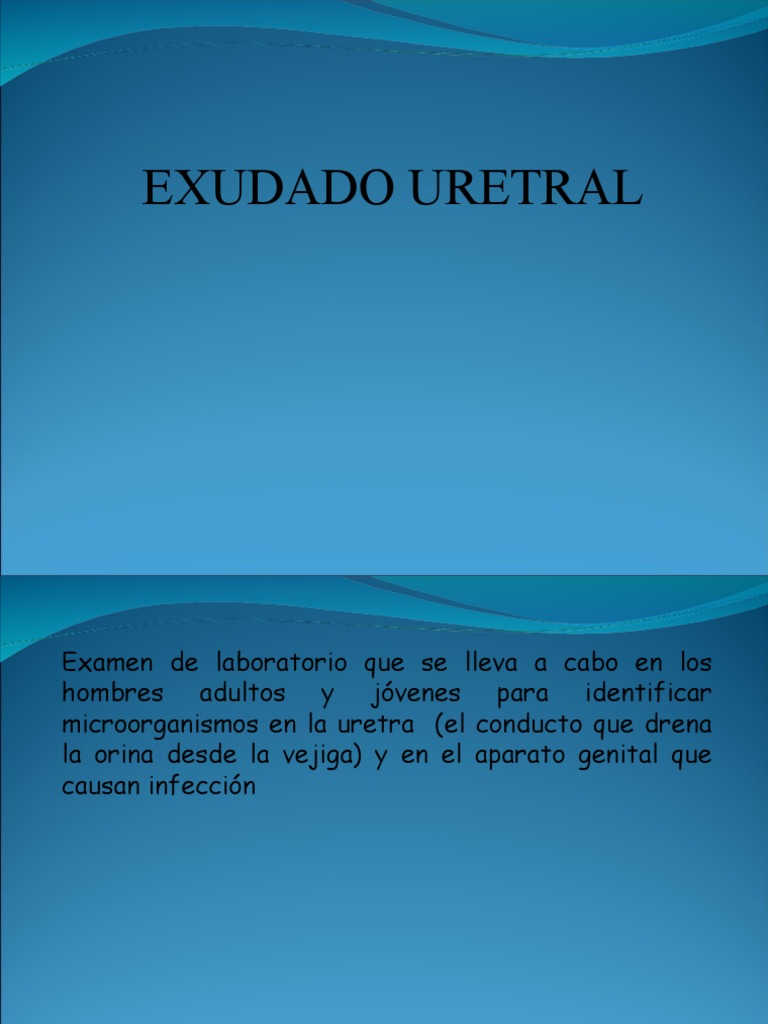 Exudado Uretral | PDF