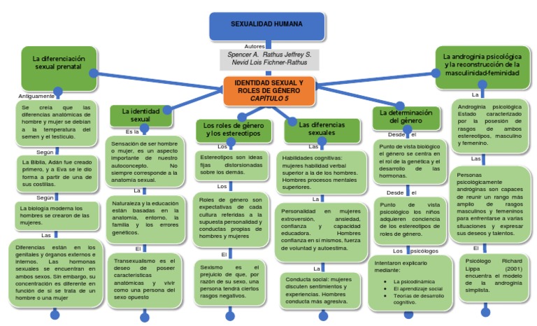 Mapa Conceptual Afectividad.9 | PDF | Hombre | La sexualidad humana