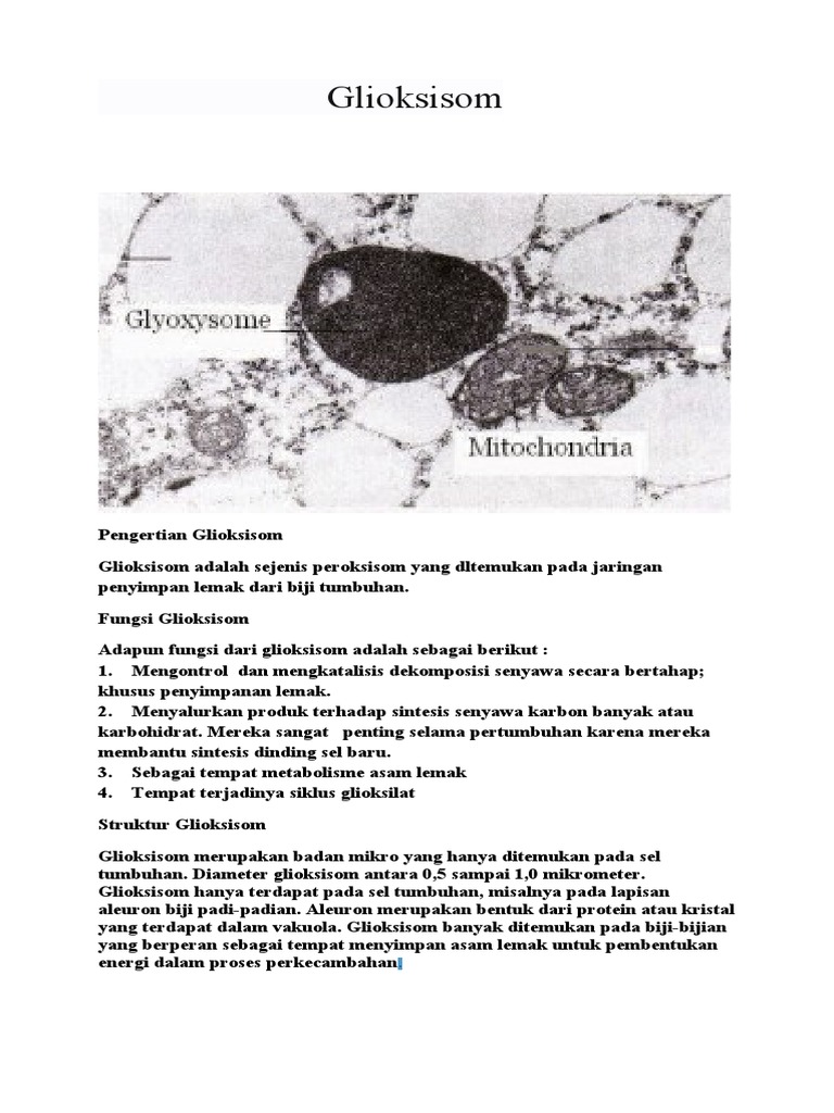 Glioksisom | PDF