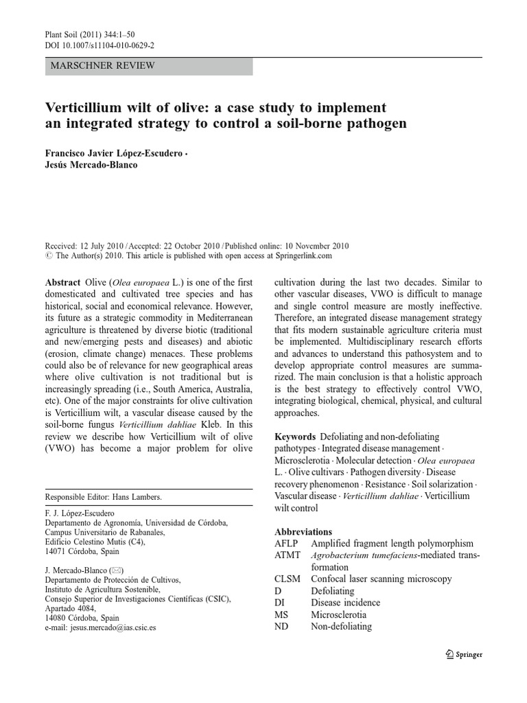 Verticillium Wil Lopez | PDF | Olive | Infection