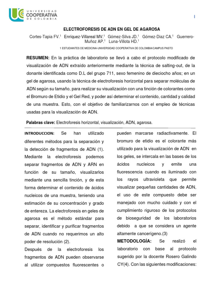Informe Laboratorio 4 Electroforesis | PDF | Adn | Tinción