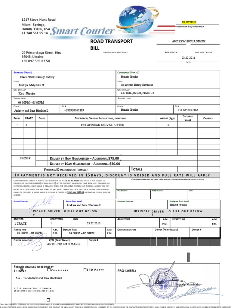 Road Transport Bill: 1217 Steve Hunt Road Miami Springs, +1 240 561 95 ...