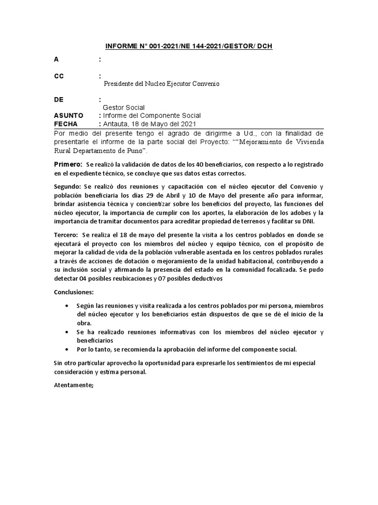 Modelo de Informe | PDF