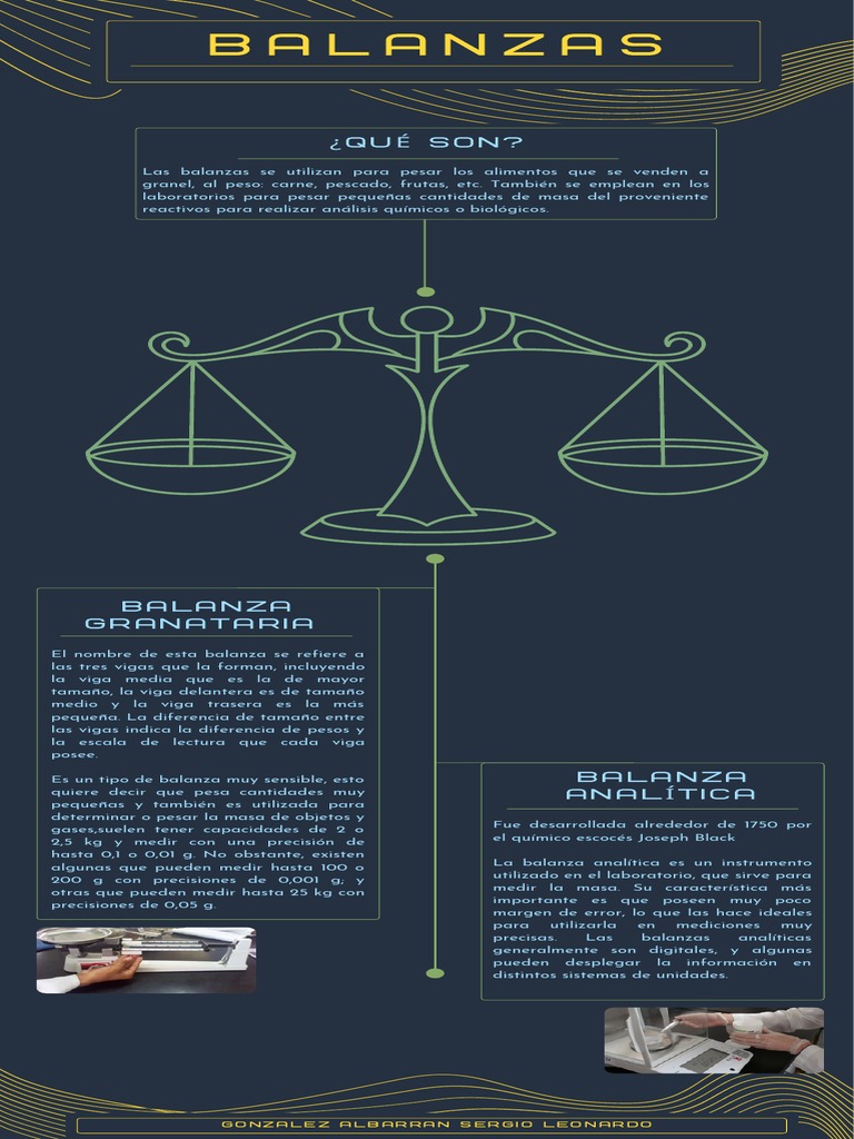 Tipos de Balanzas y Sus Usos | PDF