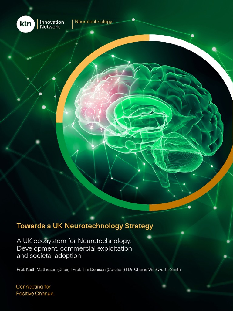 UK Neurotechnology Strategy Overview | PDF | Peripheral Neuropathy | Pain