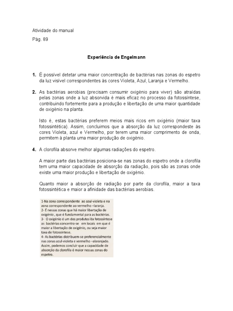 Atividade Experiência de Engelmann | PDF