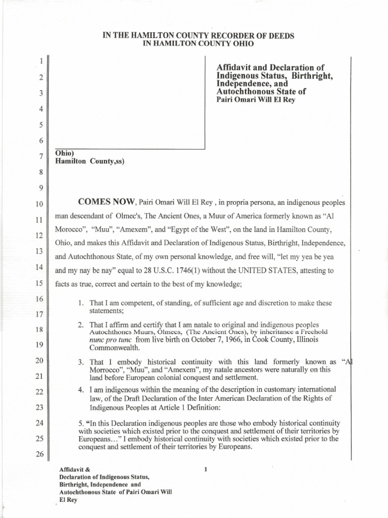 Declaration of Nationality | PDF