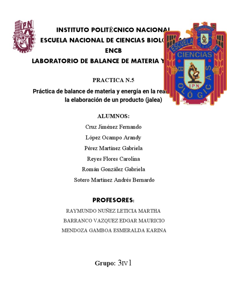 Balance de Materia en Jaleas y Mermeladas | PDF | Temperatura | Química