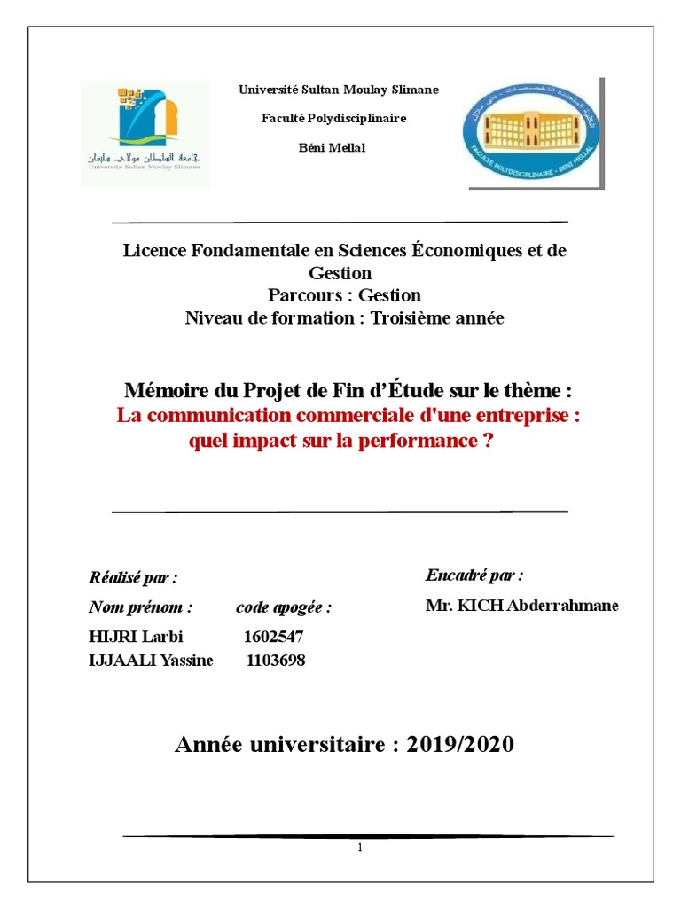 Pfe - CC-performance 2003version | PDF | Publicité | Marque