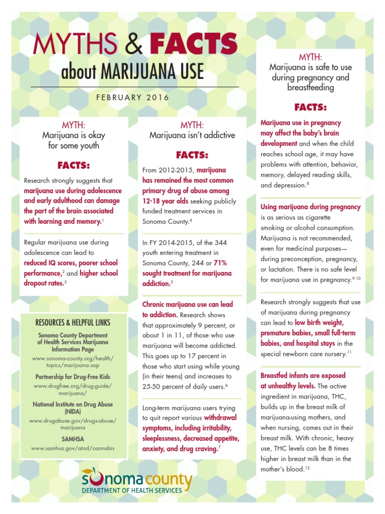 Myths and Facts About Marijuana Use | PDF | Cannabis (Drug) | Breast Milk