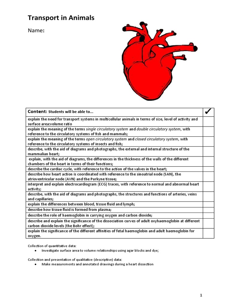 Transport in Animals Booklet | PDF | Heart | Atrium (Heart)