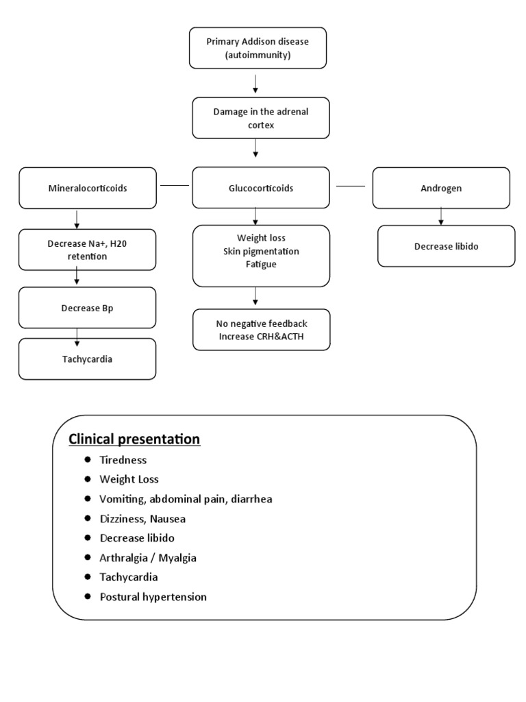 Addison Pathophysiology | PDF