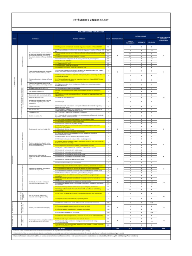 Formato de Estándares Mínimos Del SGSST | PDF | Bienestar | Medicina