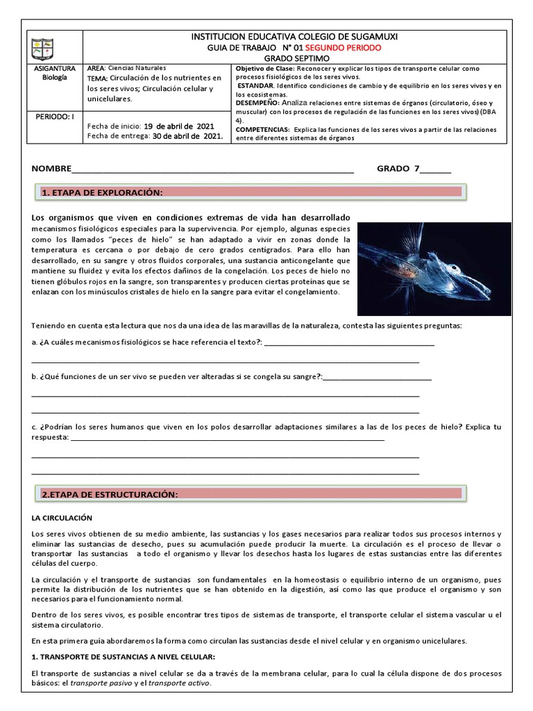 GUIA 01 - Grado 7° SEGUNDO PERIODO - CIENCIAS NATURALES | PDF | Plantas ...