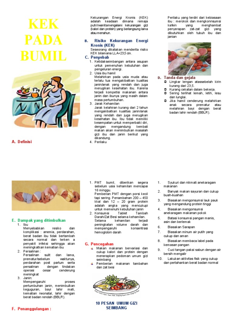 Leaflet Bumil KEK2 | PDF